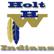 BASEBALL: Holt gets to Zumwalt South ace for road victory