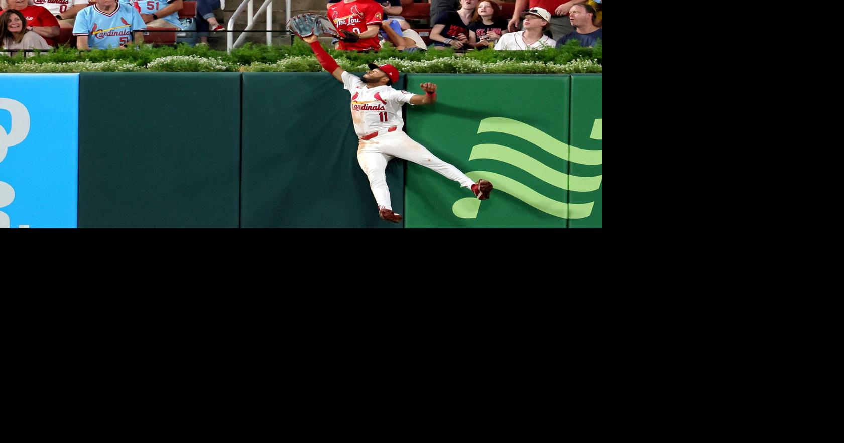 Photos: St. Louis Cardinals lose 6-4 to Tampa Bay Rays