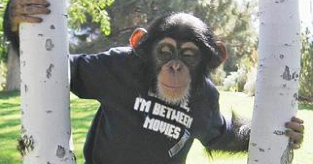 Festus actor monkey's around in 'Speed Racer'