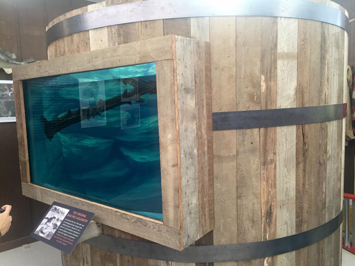 Massive wildlife museum and aquarium opens in Springfield, Mo. | Travel ...