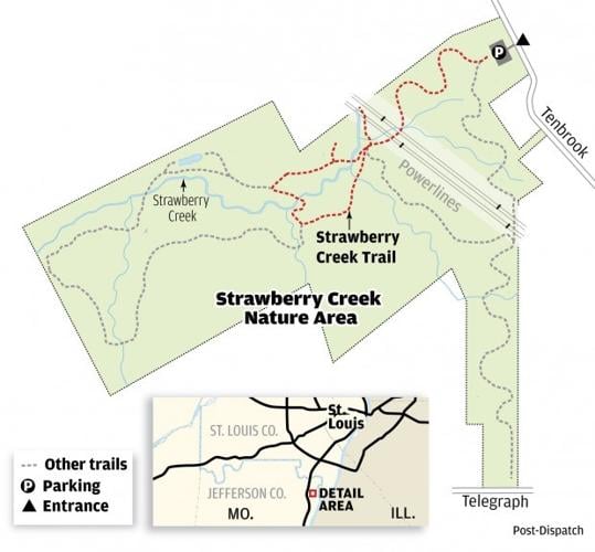 Strawberry Creek Nature Area Trails