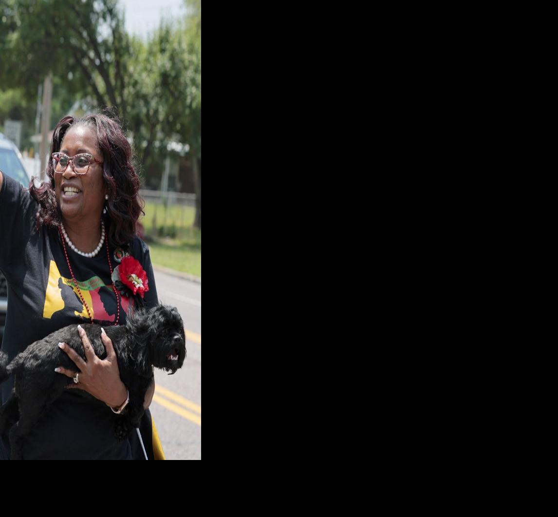 Republican wins south St. Louis County Council race