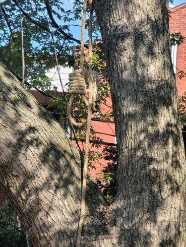 Police investigating noose found in Benton Park tree; resident calls it ...