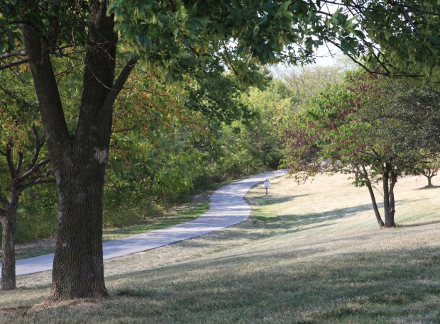 Trail of the week: Hawk Ridge Trail