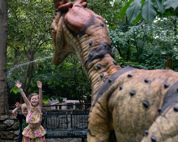 Five-day heat wave to hit St. Louis area, temperatures could top 100
