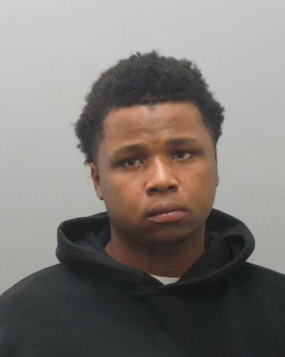 Sting recovers French bulldogs stolen from Hanley Hills home