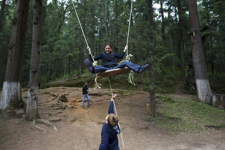 Swarms of fireflies in Illinois give enthusiasts hope that insect can ...