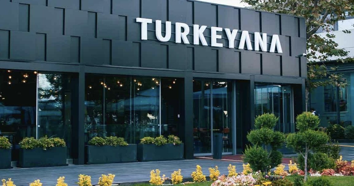 Comprehensive aesthetic solutions at Turkeyana Clinic, Istanbul