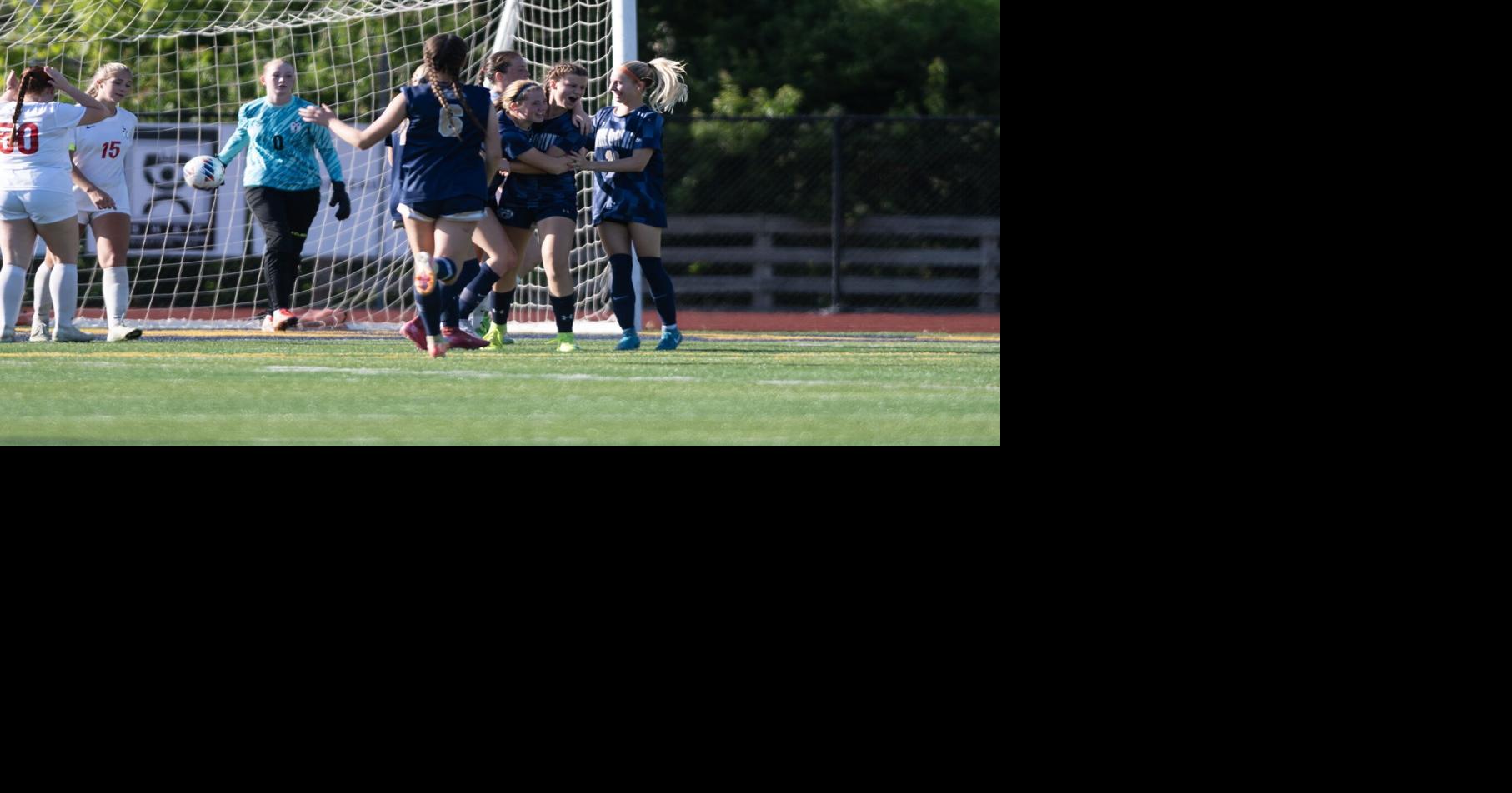 Class 1A Althoff Sectional, semifinal: Father McGivney 4, Gibault 1