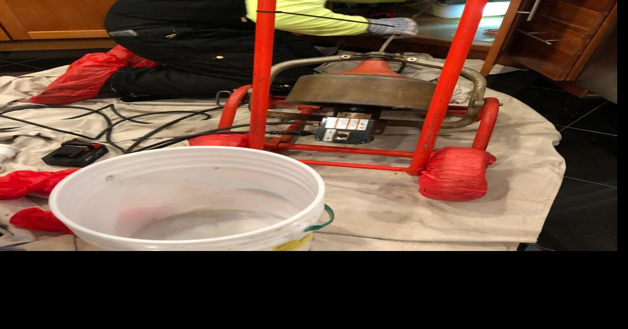 What did food writer Daniel Neman do to get his house so mad at him?