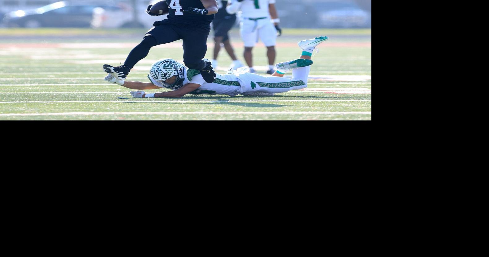 Manny Ellis, strong defense power Cardinal Ritter past Fort Zumwalt North