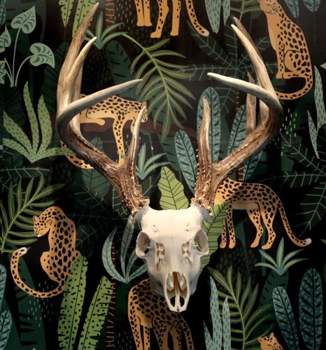 At Home with Rob and Amanda Hehmeyer in St. Louis Hills