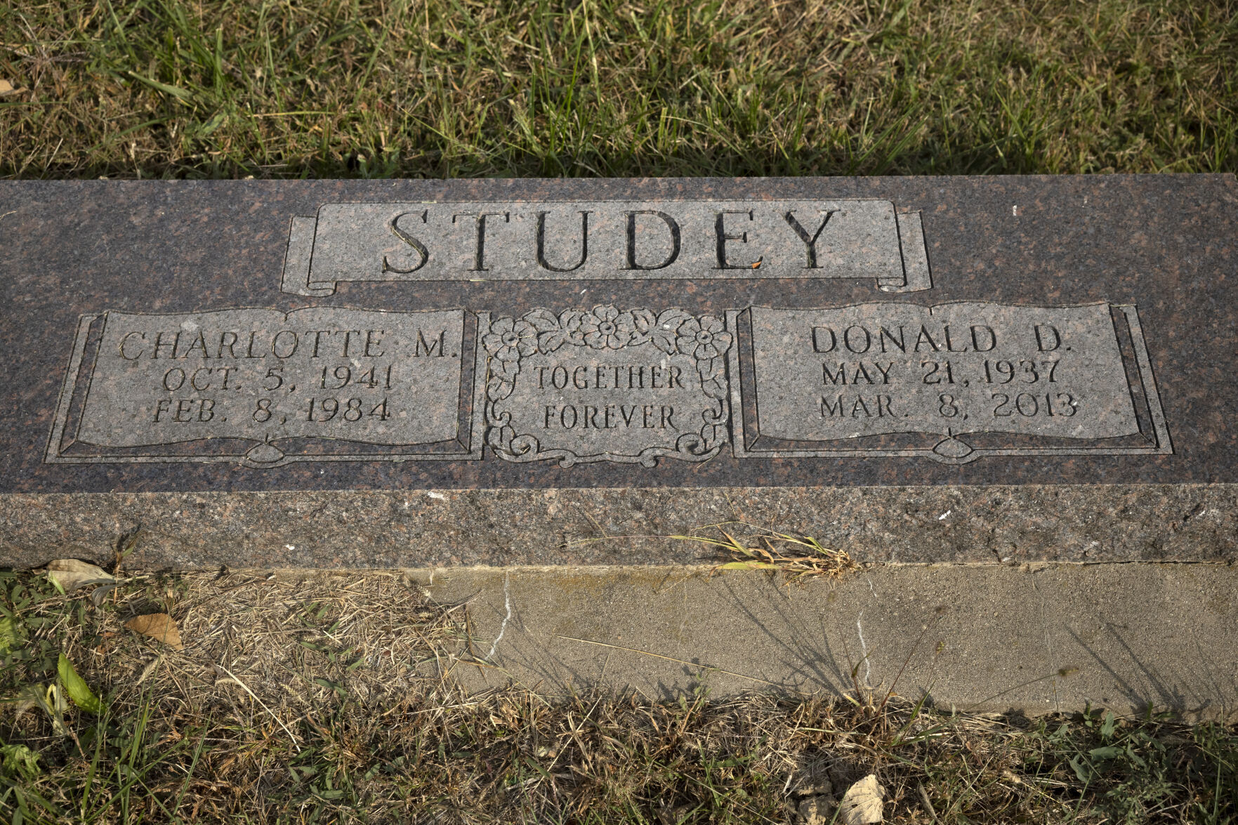 Journal tells the story of alleged killer Donald Dean Studey