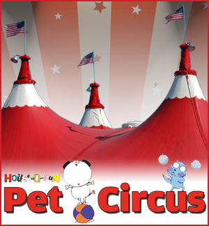 Enter the House-O-Fun's Pet Circus!