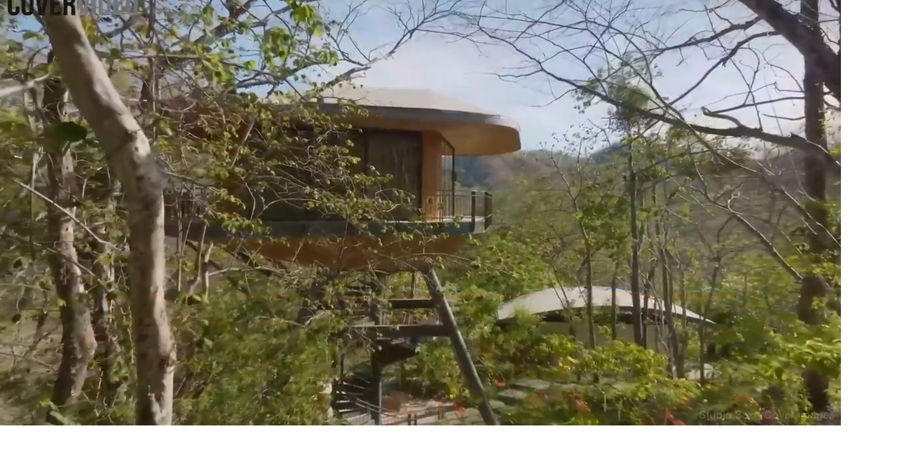 Costa Rican hotel offering 'childhood treehouse' experience, and more of today's top videos