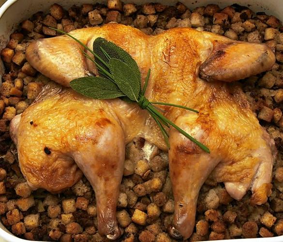 A Swedish delight wins best of show