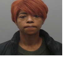 Taiesha C. Campbell