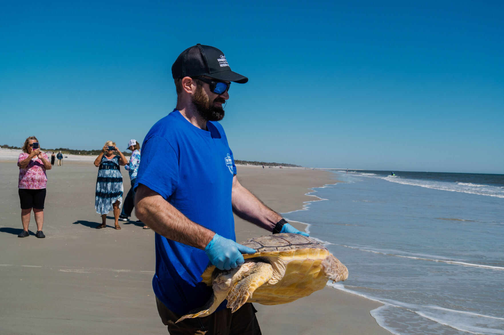 19 sea turtles released in Atlantic after rehab in Missouri