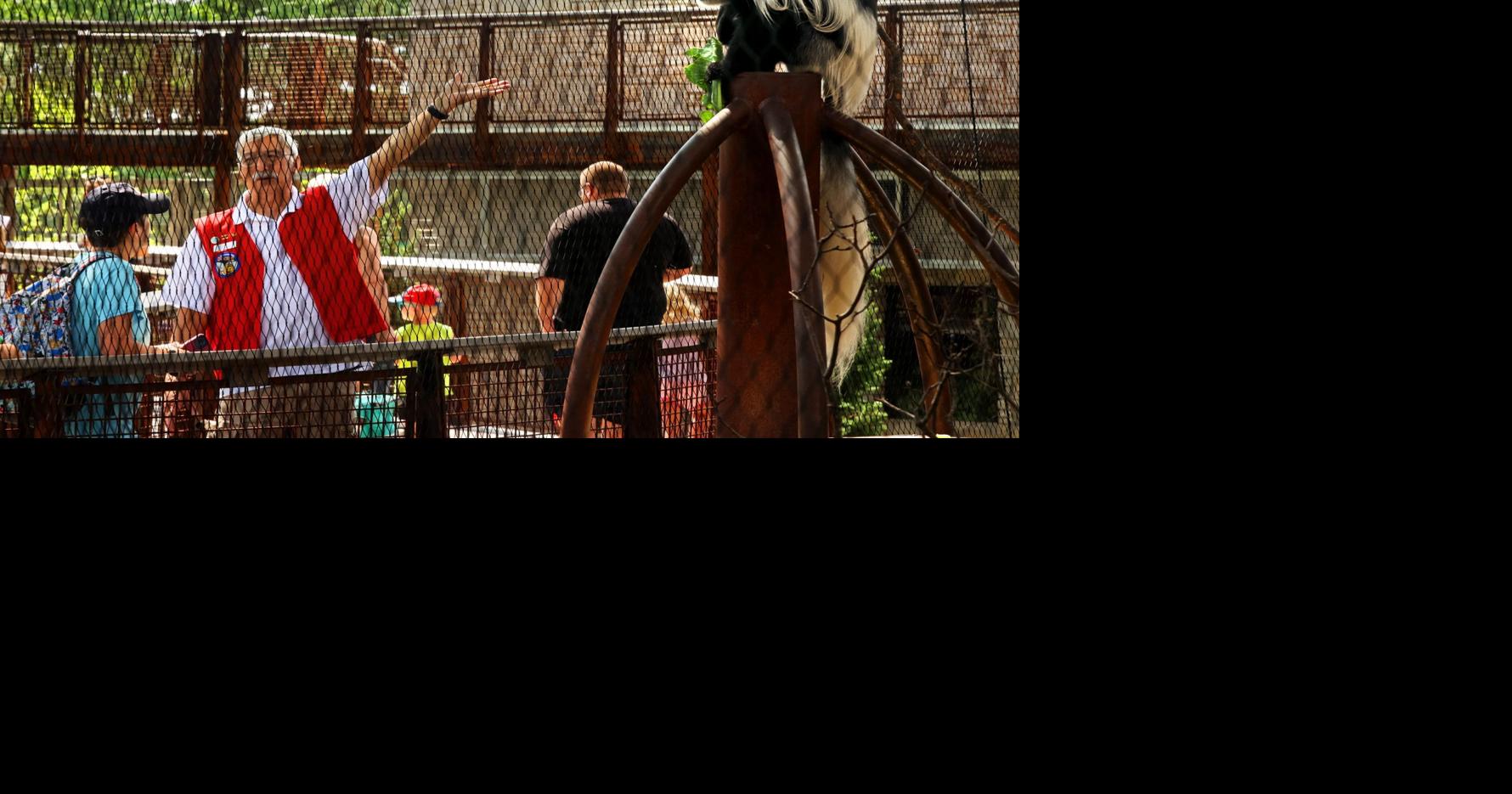 Photos: Primate Canopy Trails at St. Louis Zoo opens to the public