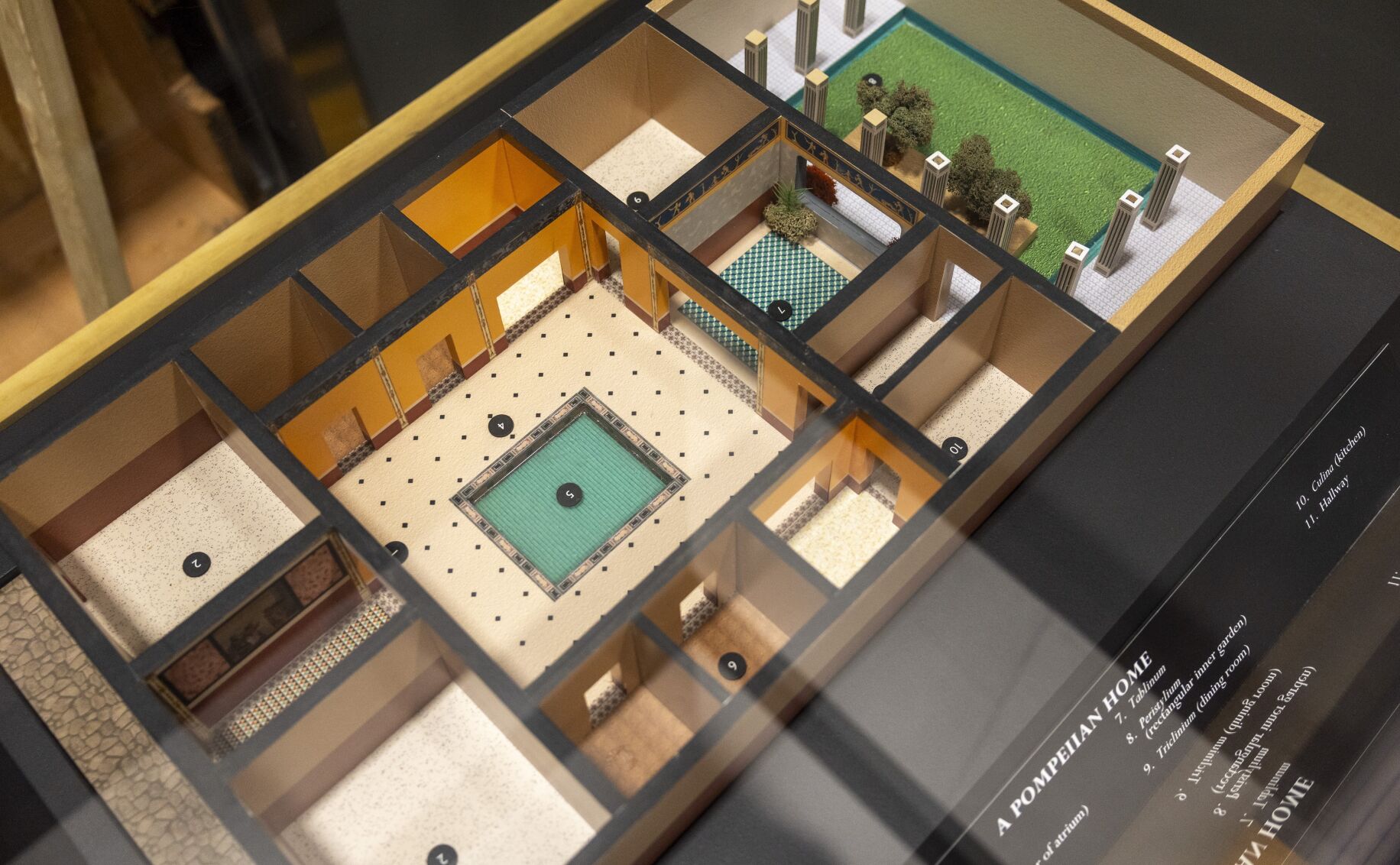 Pompeii exhibit returns to thrill again with new artifacts at St. Louis ...