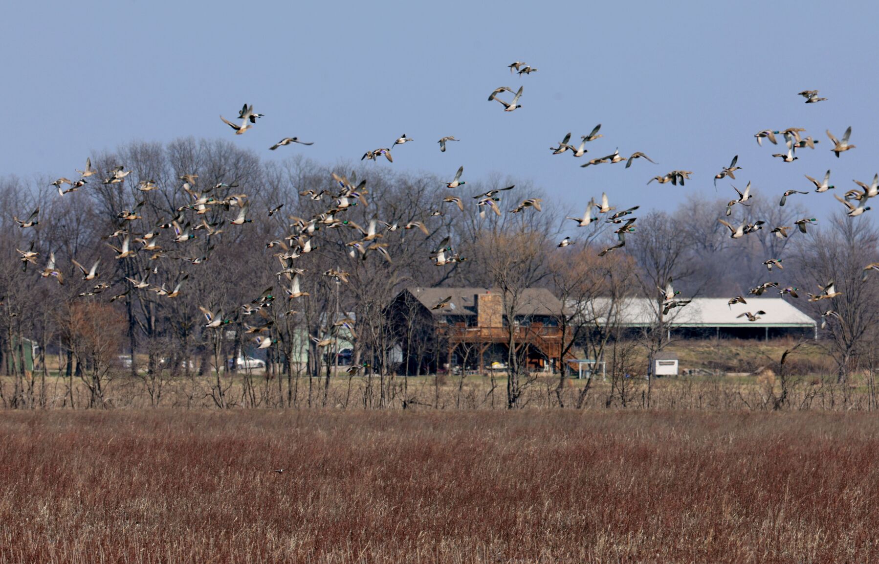 St. Charles County to create its largest park at former duck hunting club
