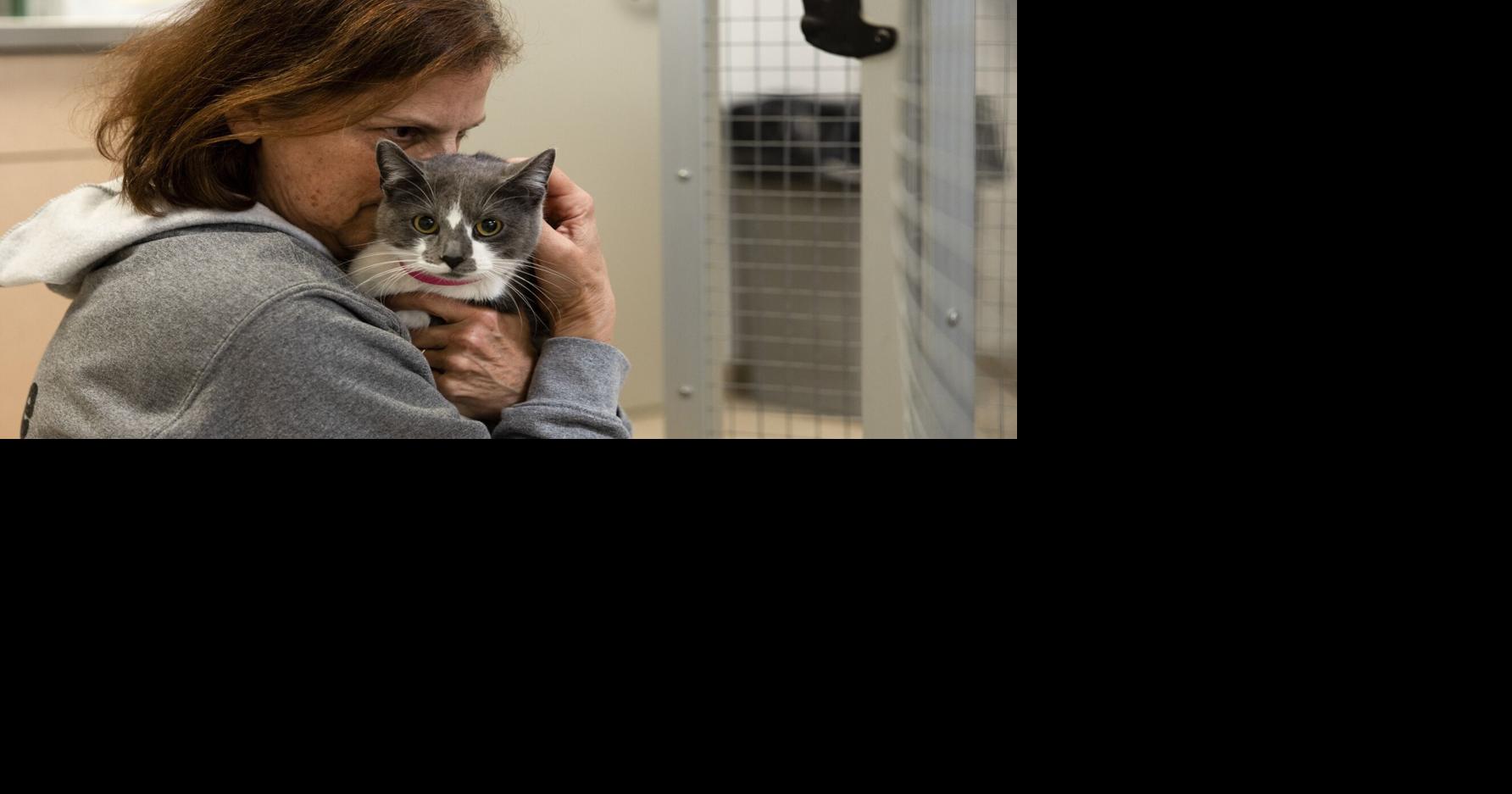 Volunteers optimistic about St. Louis County animal shelter