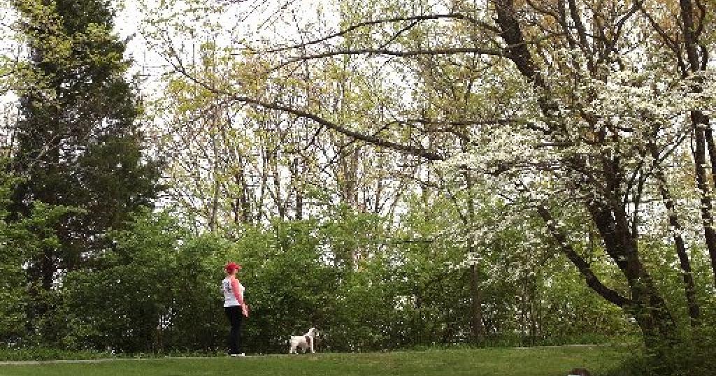 Bee Tree County Park