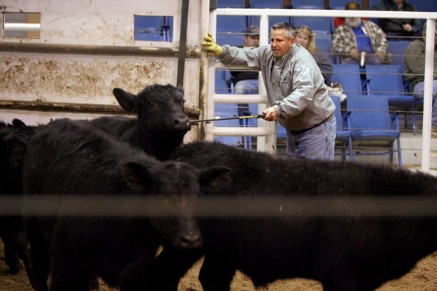 Beef prices hit record highs — and will keep on climbing