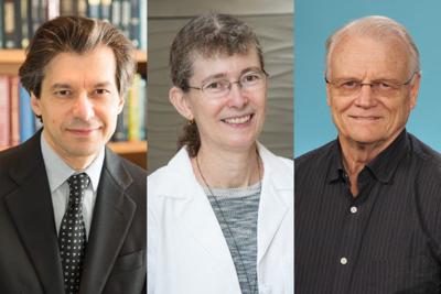 Three Washington U. medical school professors honored