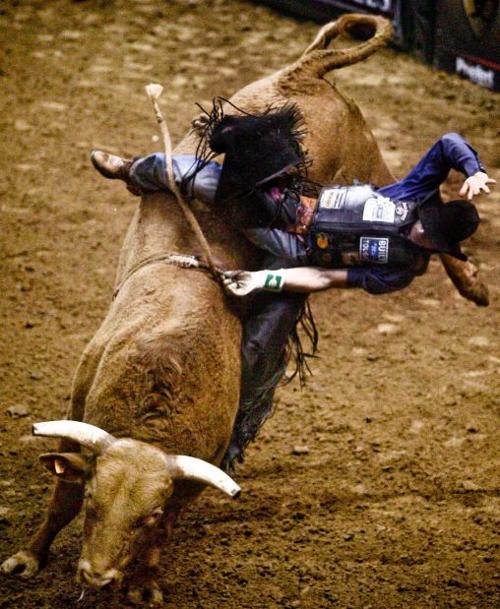 Bull riders face constant threat of injury | Sports | stltoday.com