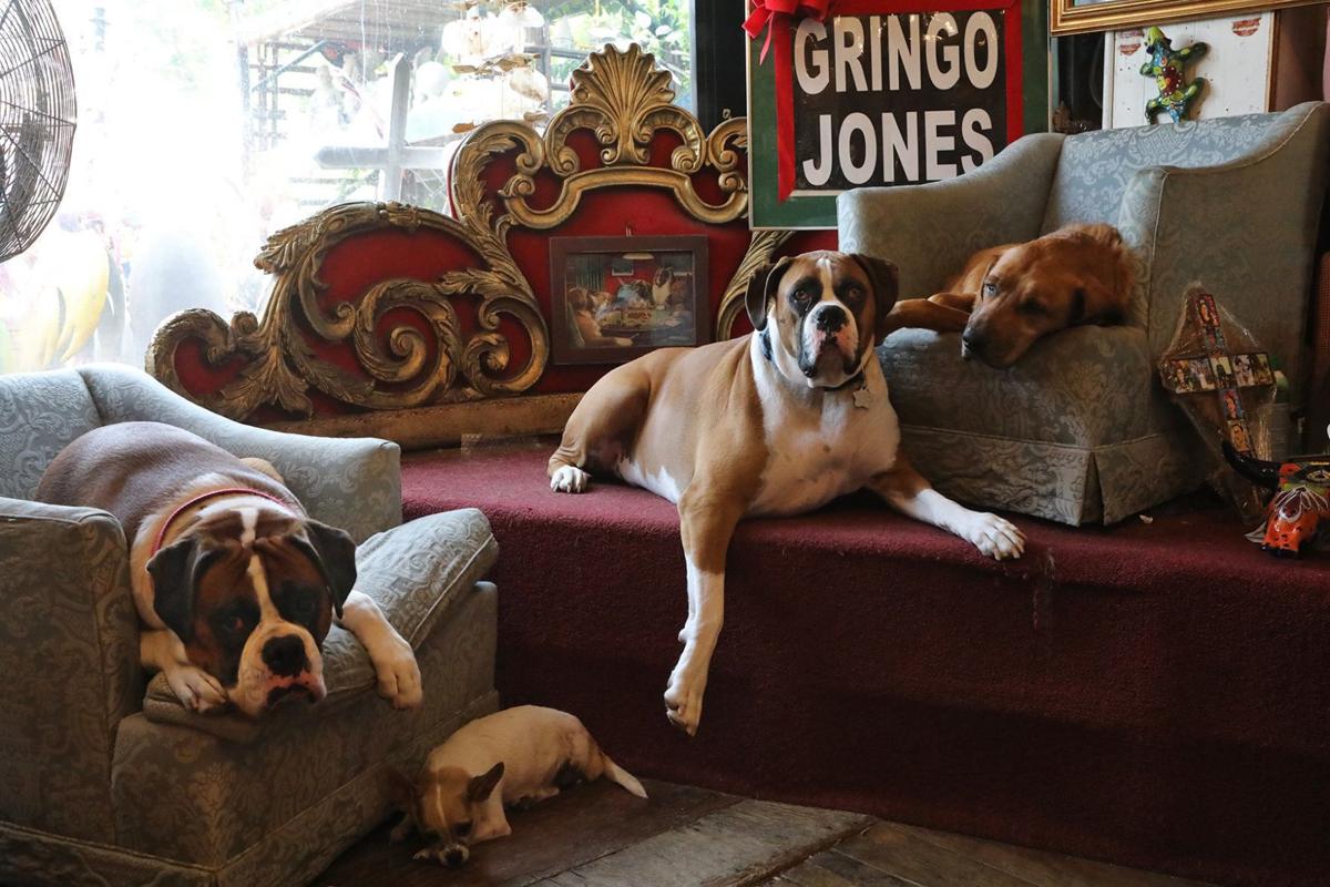 Photos: At Gringo Jones, you can get imports, antiques, kitsch – and ...