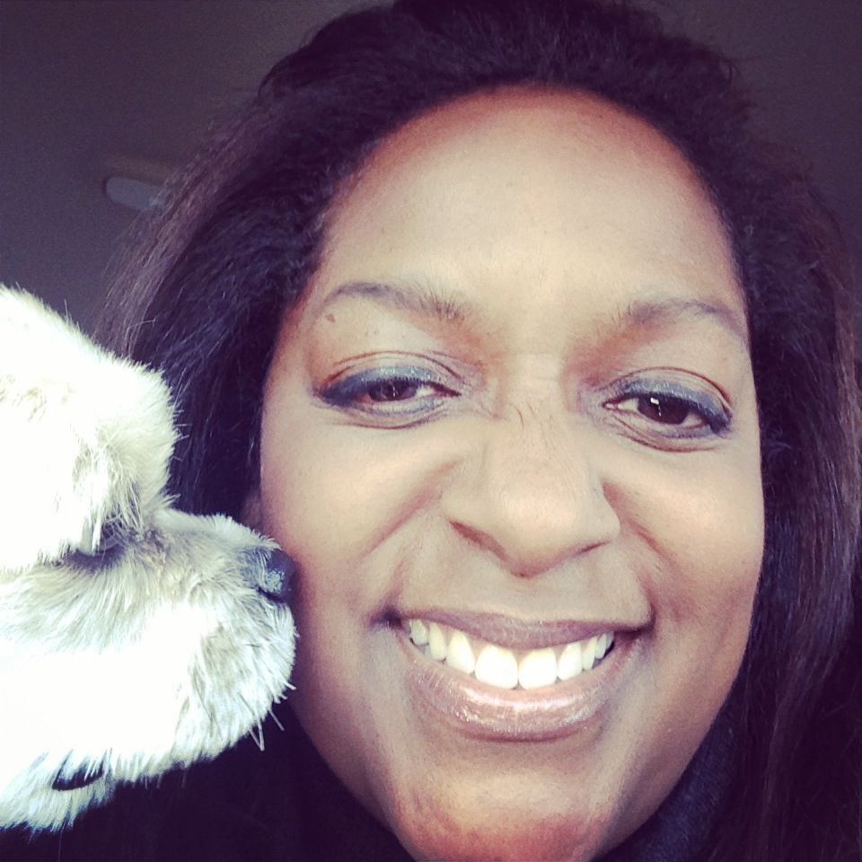 KSDK's Kelly Jackson hoping to hit with pet show