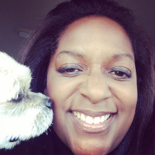 KSDK's Kelly Jackson hoping to hit with pet show