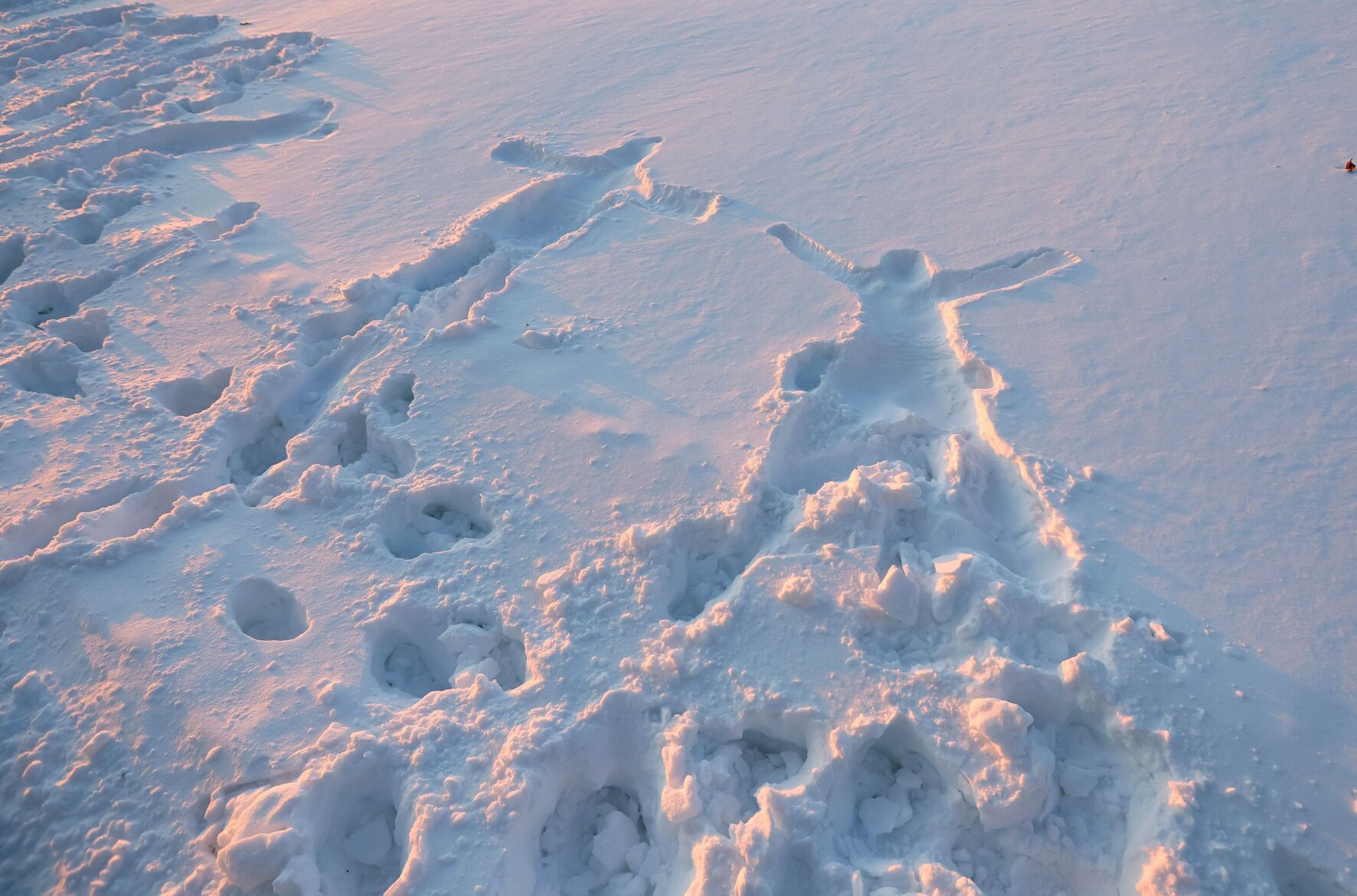 Snowplowing in St. Louis is on track, official says