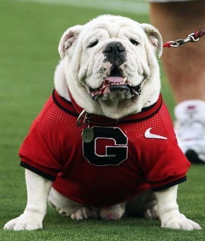 Georgia Bulldogs