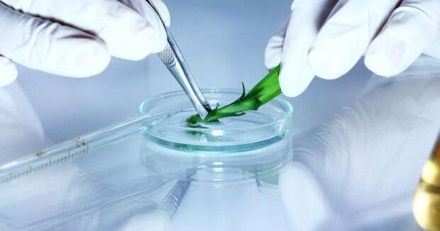 From Creve Coeur to Bayer Crop Science, new group aims to push St ...