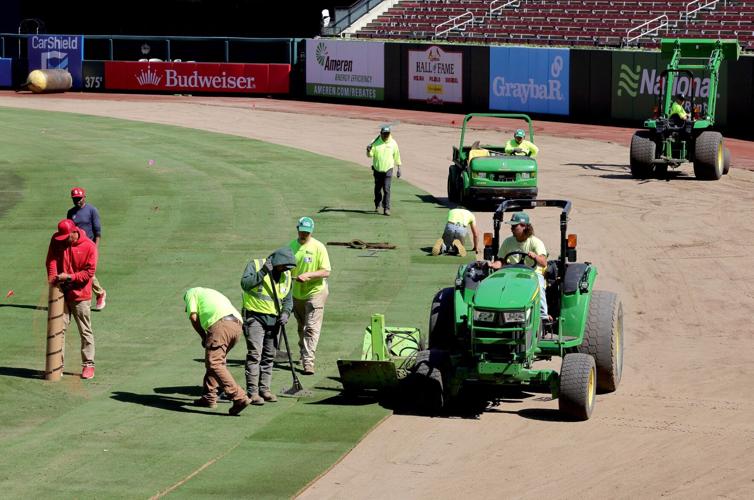 Busch Stadium in St. Louis gets all new grass