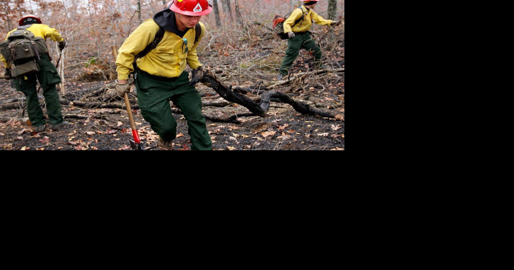 Who set the Mark Twain forest fire?