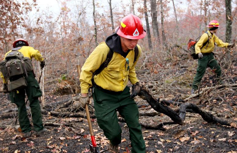 Who set the Mark Twain forest fire?