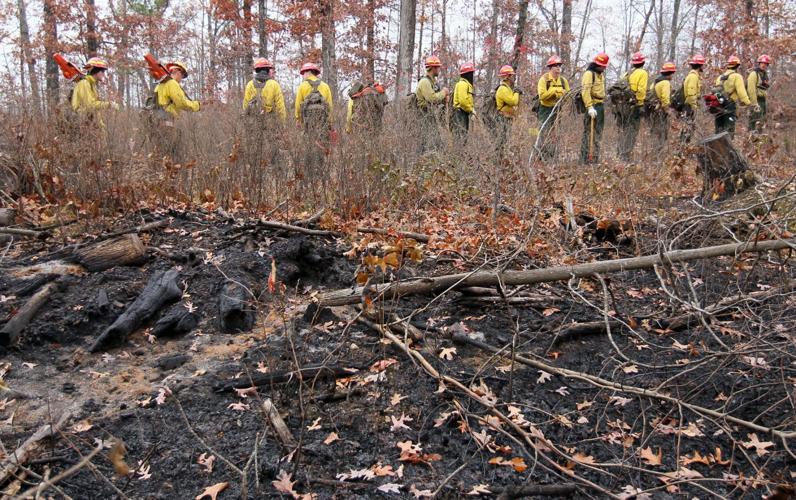 Who set the Mark Twain forest fire?