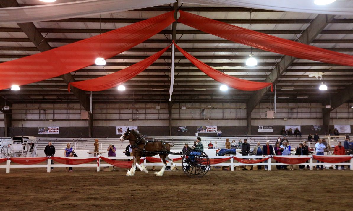 St. Charles Co. buys equestrian facility in Lake Saint Louis for park ...