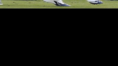 Pead blames himself for trouble | Pro Football | stltoday.com