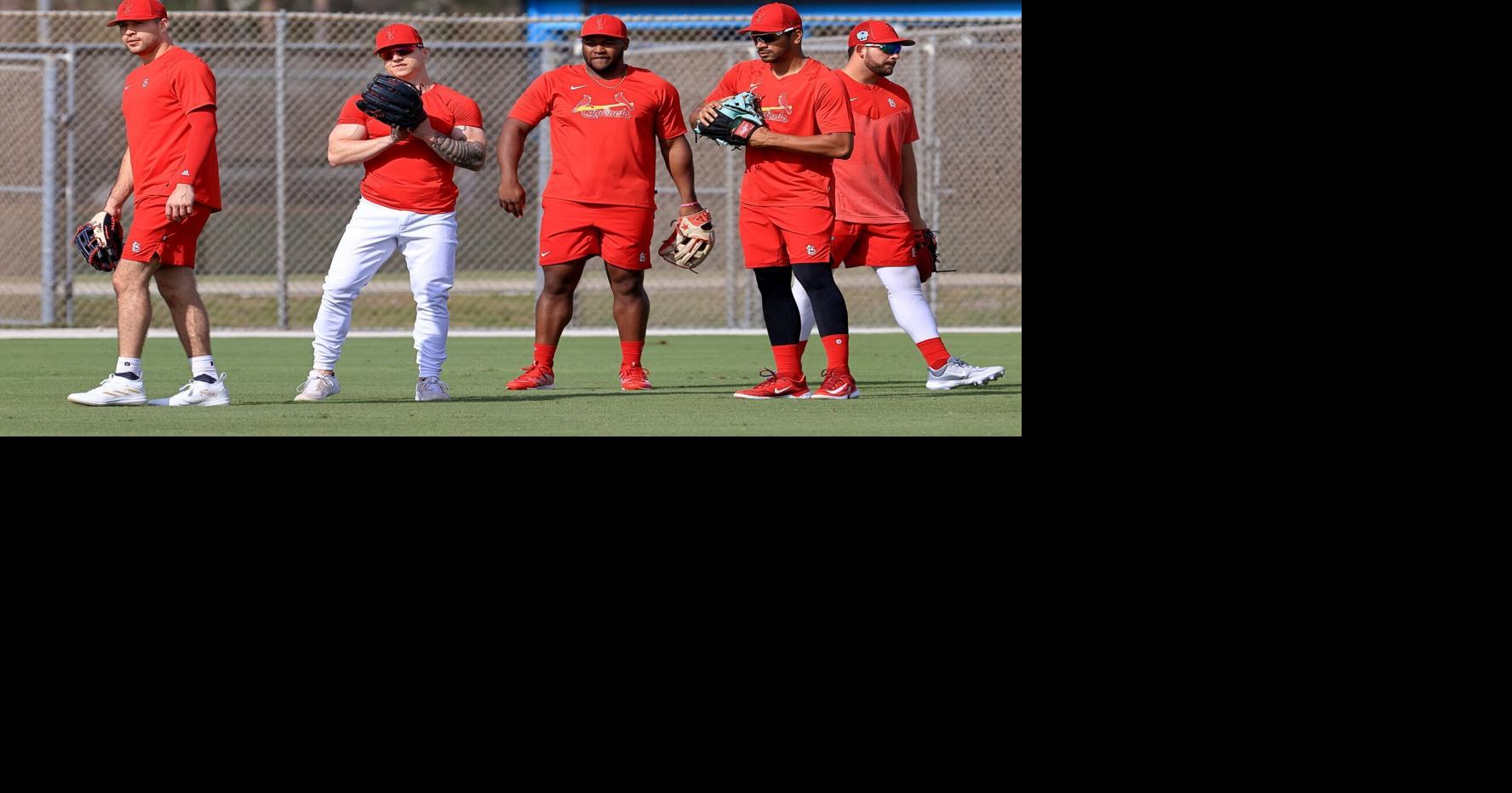 Goold: It is good to think of the Cardinals outfield as more than the ...