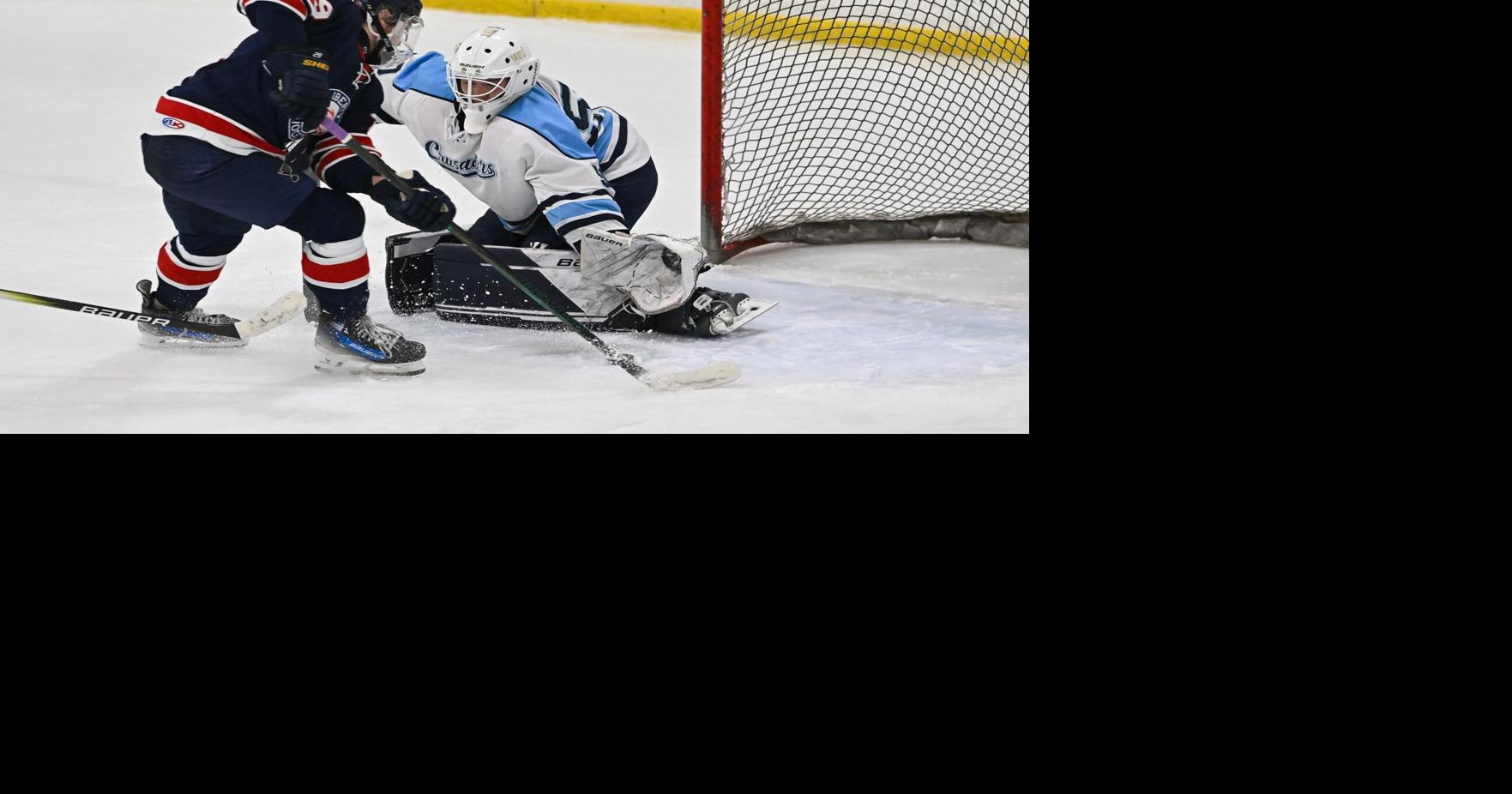 Trey Wilson stays on a tear with third hat trick to lead Liberty over ...