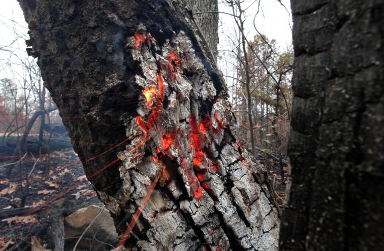 Who set the Mark Twain forest fire?