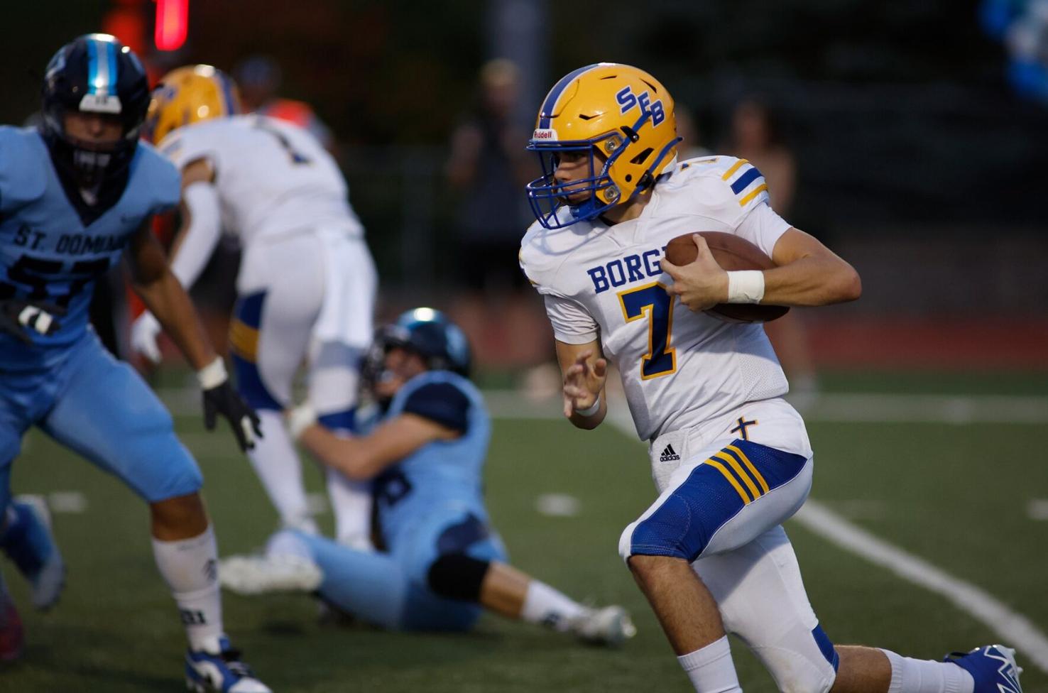 Gildehaus has Borgia in state title chase; Cardinal Ritter stays on a ...