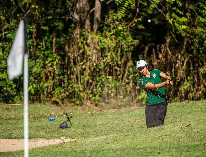 Mehlville's Eva Brown continues rapid ascension: All-Metro girls golfer ...