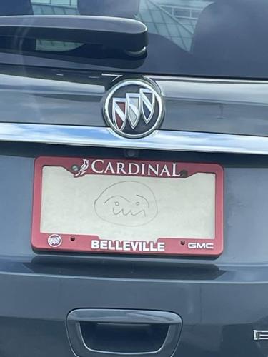 Holleman: Frustrated vehicle vigilante in St. Louis rips expired ...