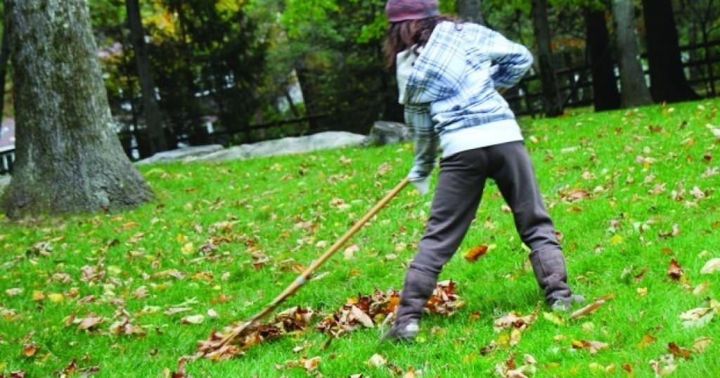 Make raking leaves easier and maybe fun