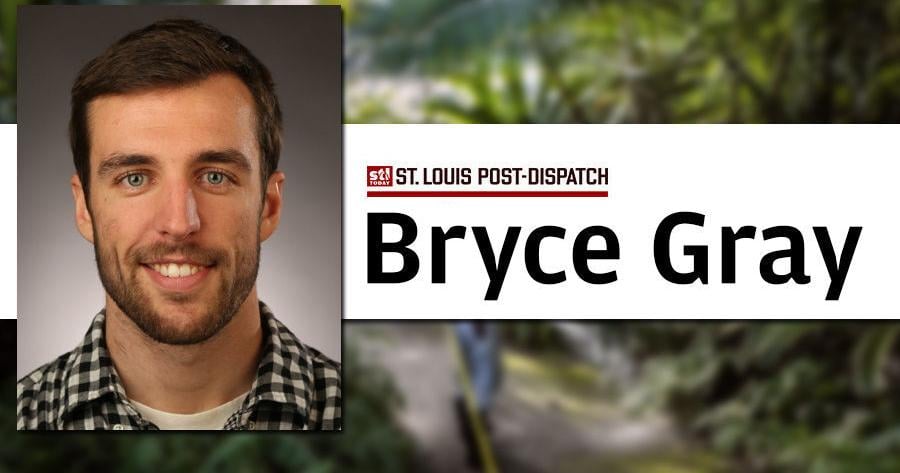 Bryce Gray's most memorable stories of 2020: Bat poop, 'orphaned ...